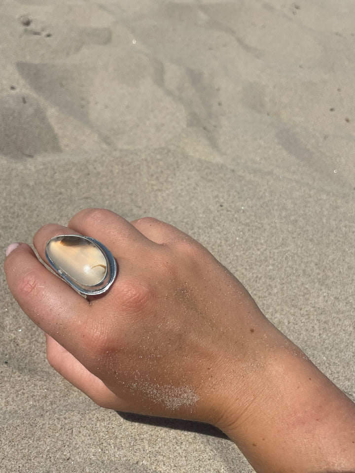 Rings – Abalone Ave